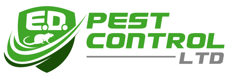What Do Professional Pest Control Use for Mice?